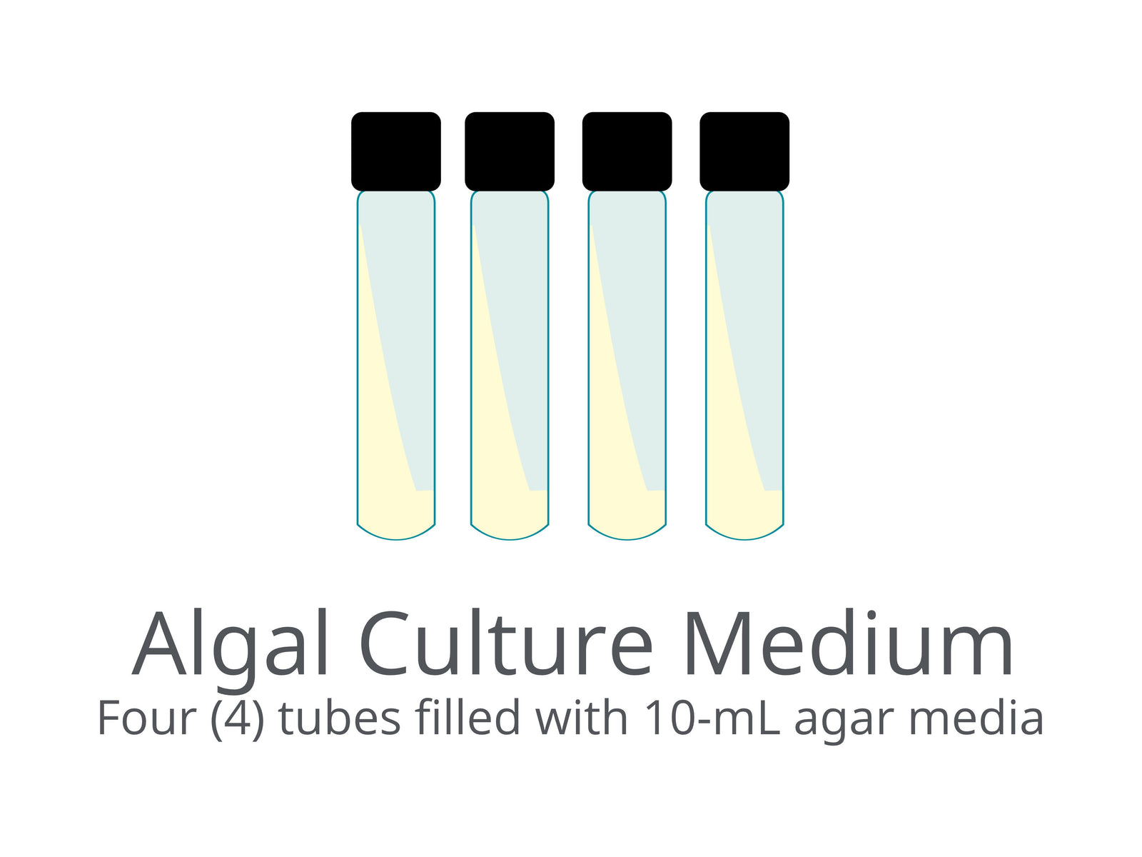 Soil Extract Medium | UTEX Culture Collection of Algae