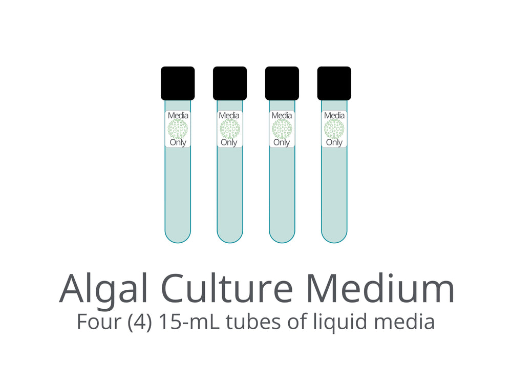 Bold Basal Medium | UTEX Culture Collection of Algae